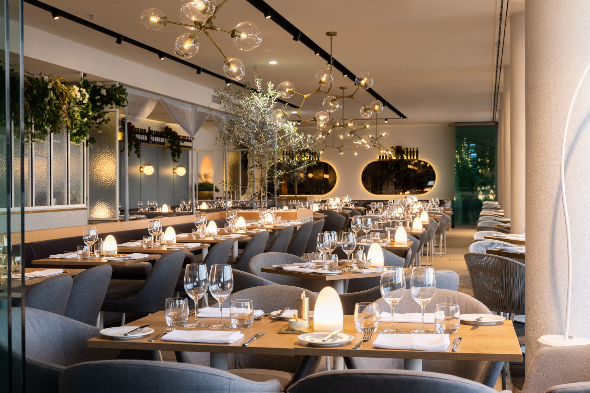 Massimo - Clui Design